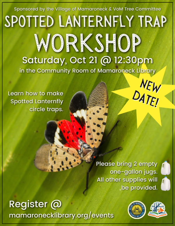 Spotted Lanternfly Trap Workshop - Mamaroneck Public Library