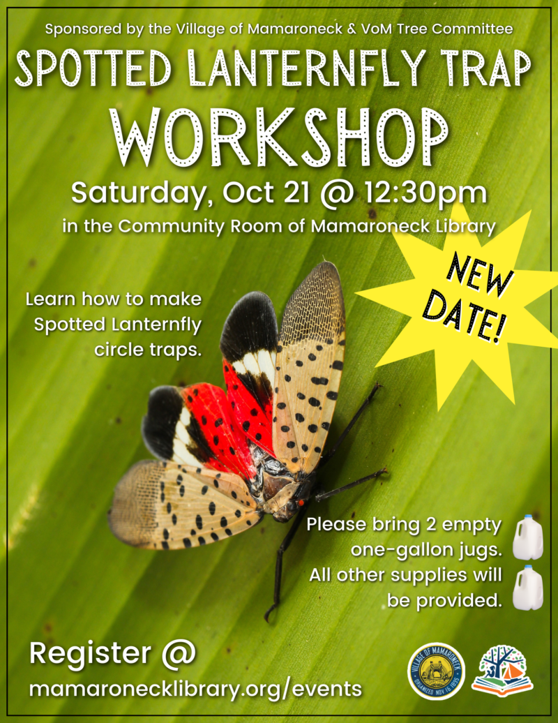Spotted Lanternfly Trap Workshop - Mamaroneck Public Library