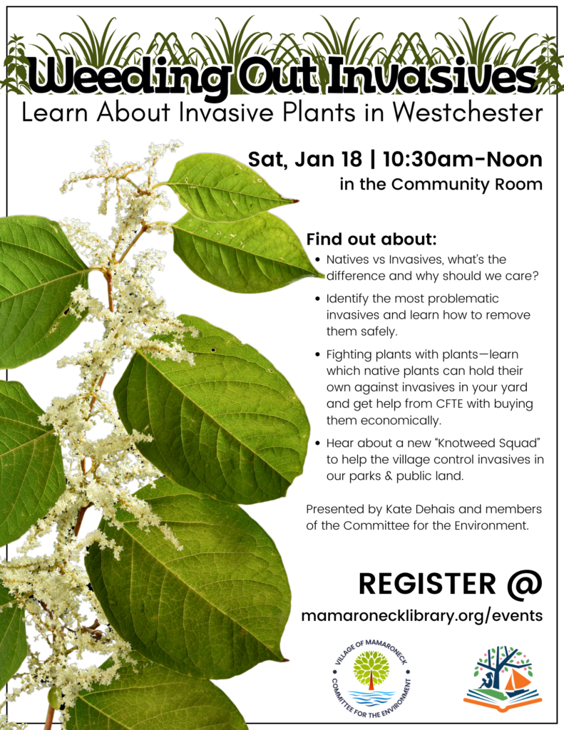 Weeding Out Invasives - Mamaroneck Public Library